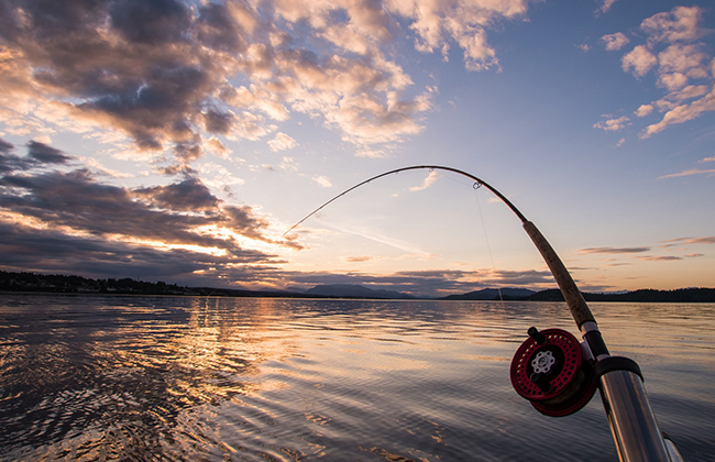 Islander Reels – Mooching Reels | Centerpin Reels | Fly Fishing
