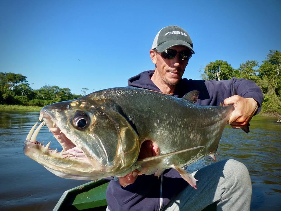 Golden Dorado Fishing in Bolivia's Amazon Rainforest