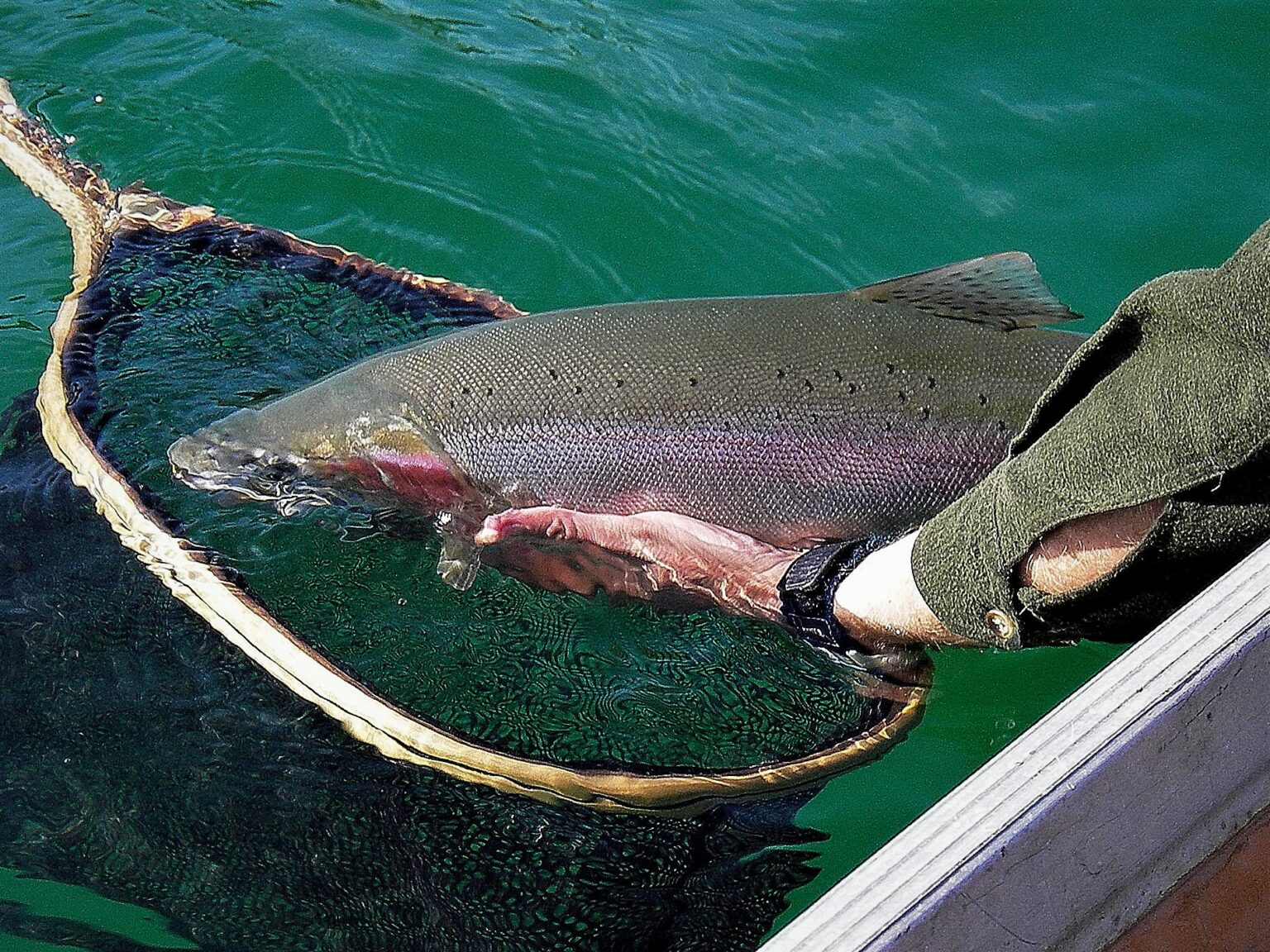 Preparing for the Stillwater Season - A Spring Fishing How-to Guide by ...