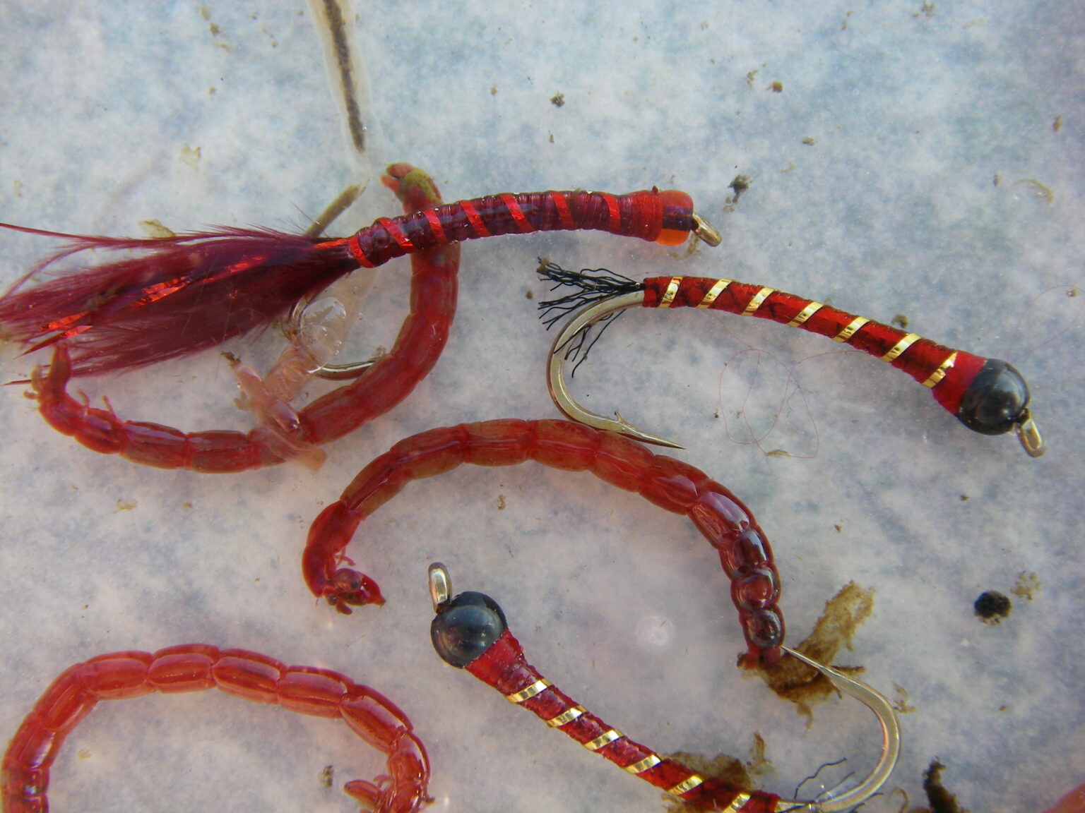 Chironomids – The Most Significant Stillwater Insect Hatch to Master ...