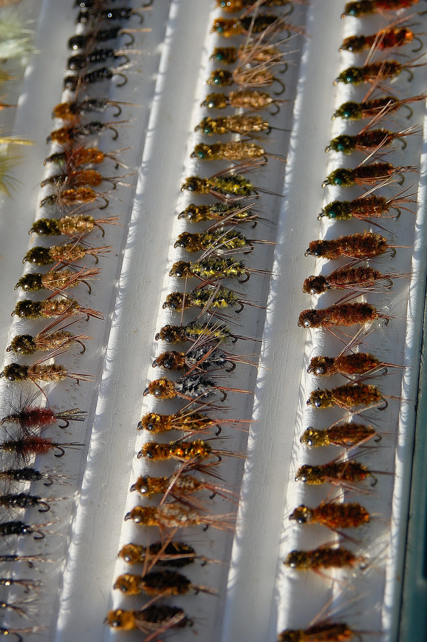 Learning more about Dragonfly Nymphs – Islander Precision Reels