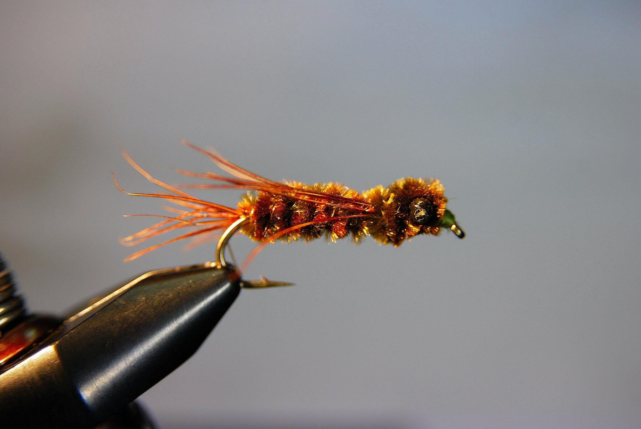 Learning more about Dragonfly Nymphs – Islander Precision Reels