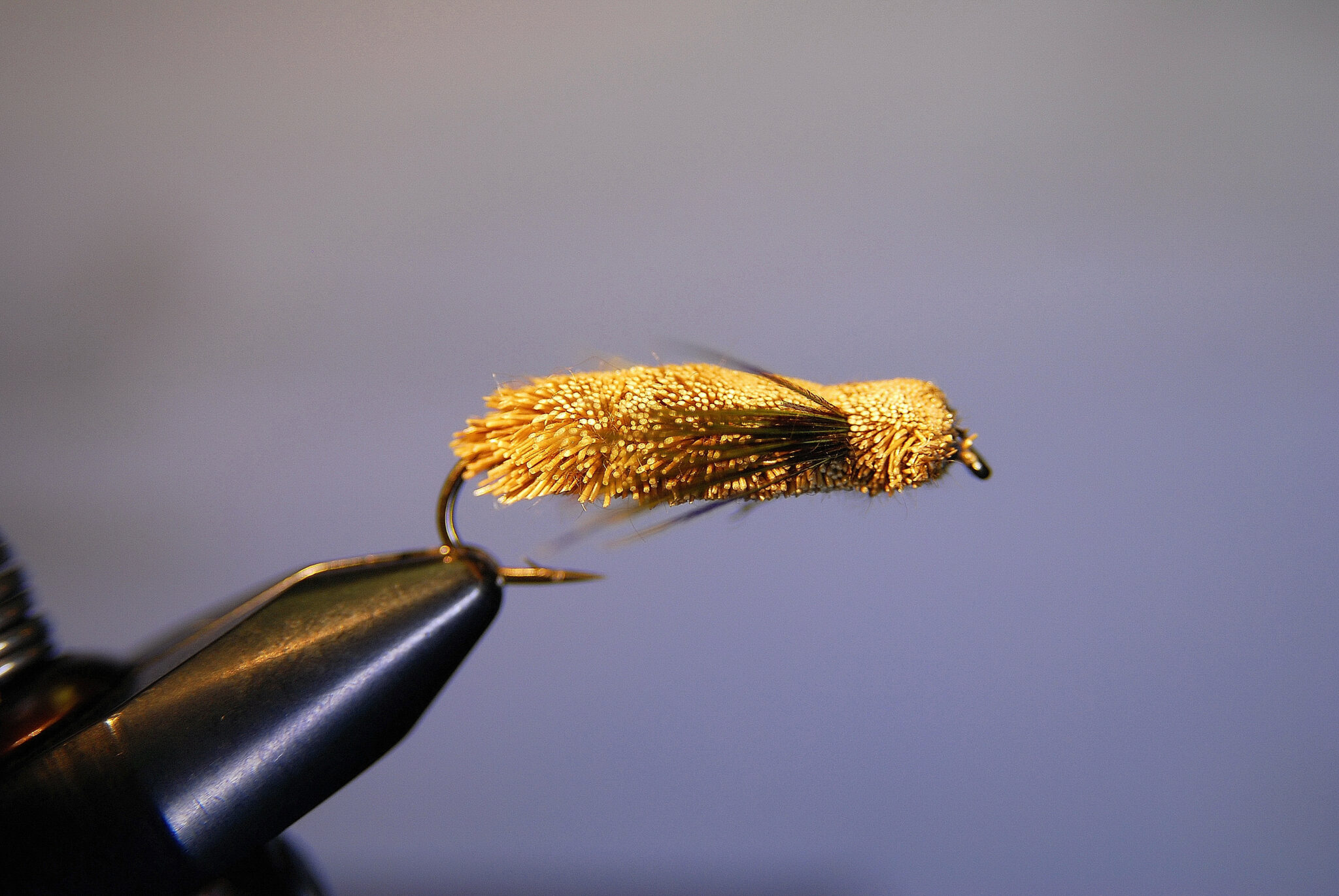 Learning more about Dragonfly Nymphs – Islander Precision Reels